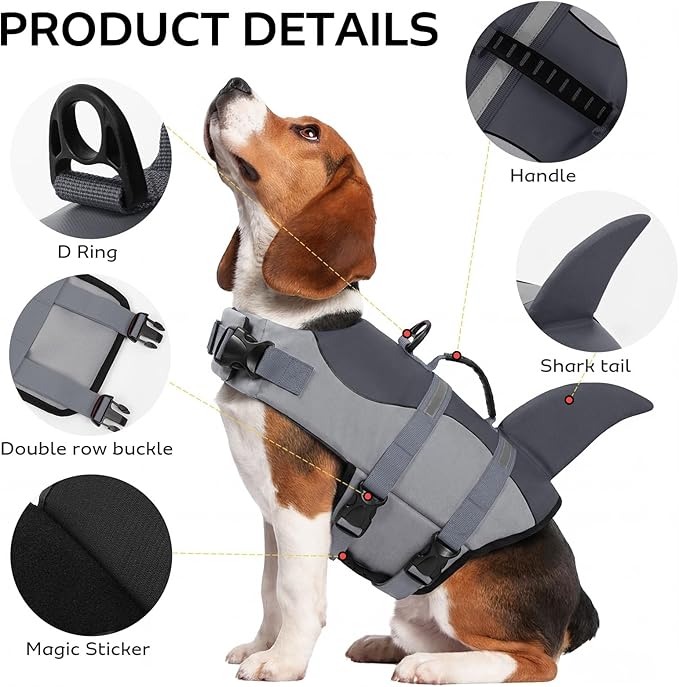 SUP mit Hund – Die besten Boards & Tipps fürs Paddeln
